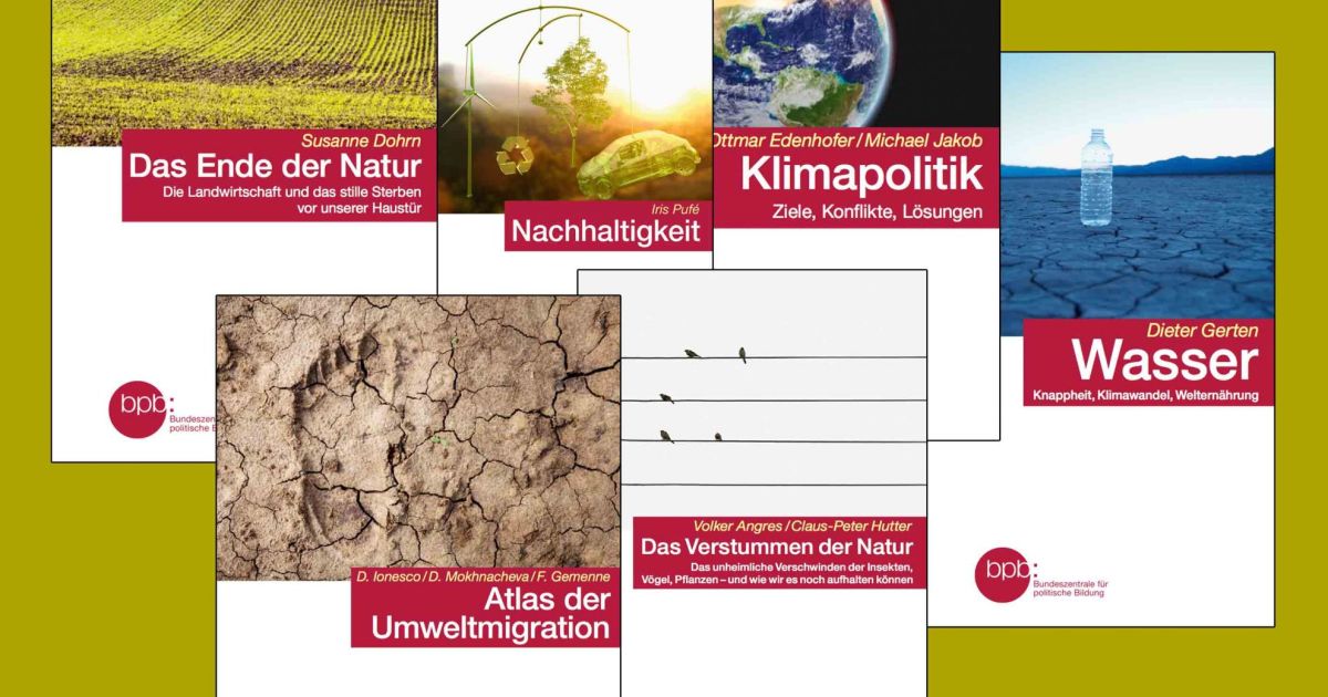 Bpb-Lektüre zum Thema - drehscheibe