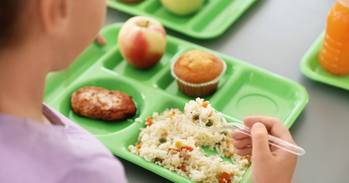 Gesund und günstig? Neue Studie zum Schulessen - drehscheibe